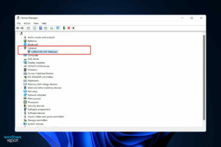 Baixe e instale o driver da câmera Windows 11 [EXPLICADO] - WindowsReport