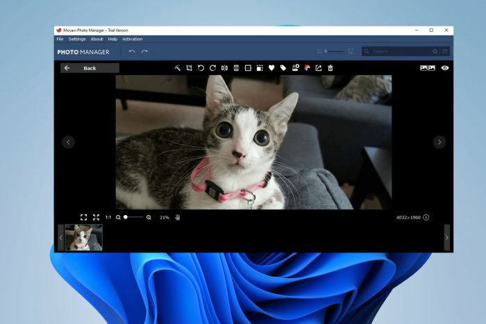 Visualizador de fotos para Windows 11 [7 principais testados ...