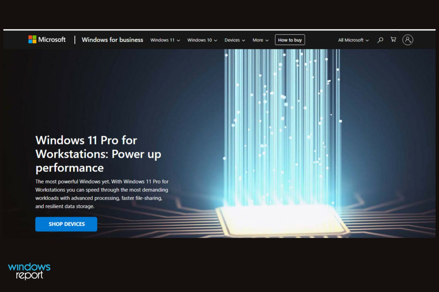 Windows 11 Pro per Workstation : Differenze e Requisiti