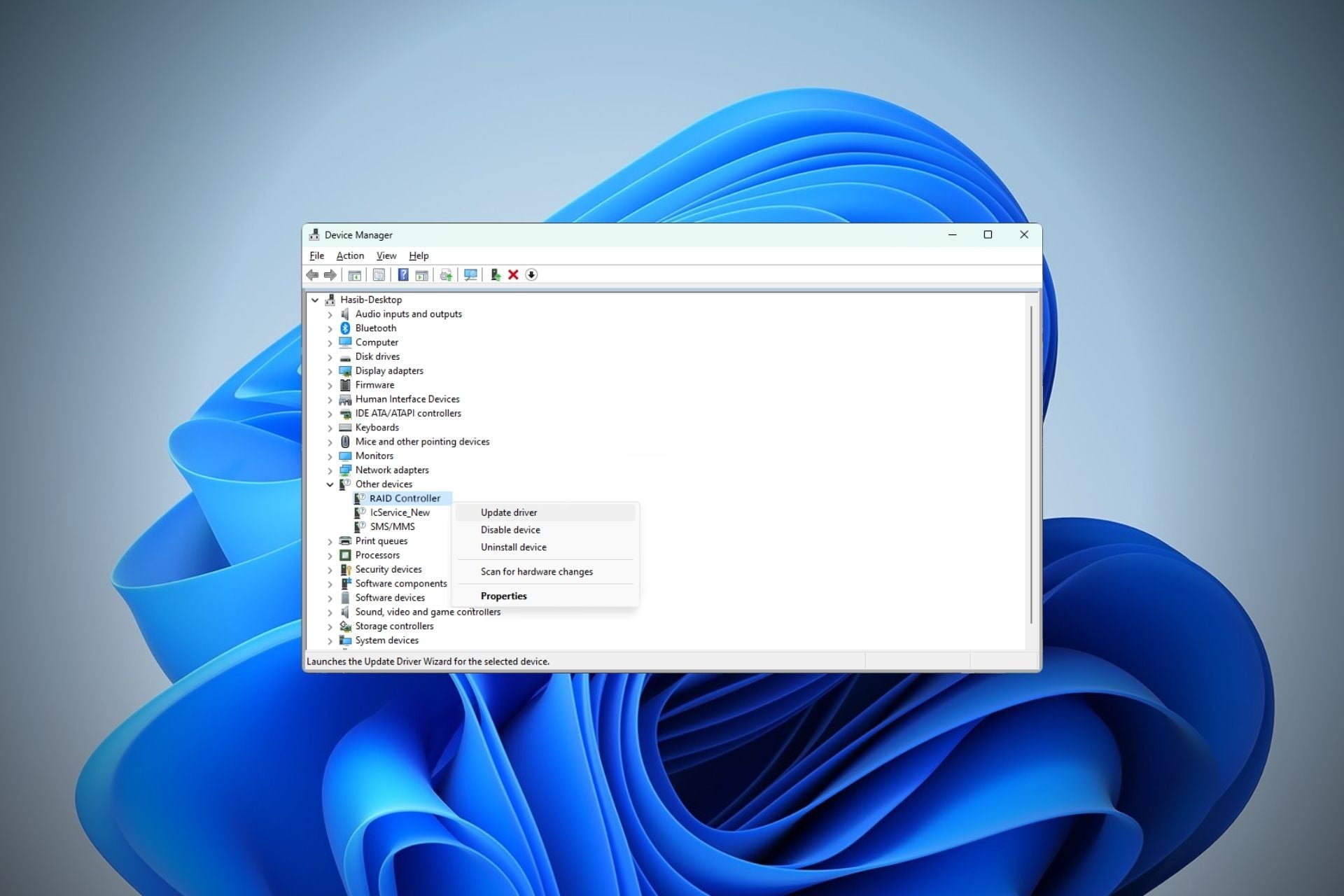 Driver del Controller Raid per Windows 11 - Scarica e Installa