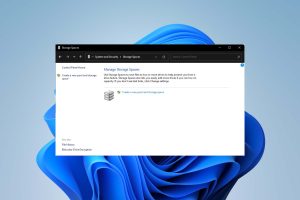 Come Configurare RAID 1 in Windows 11 - [Guida Completa]